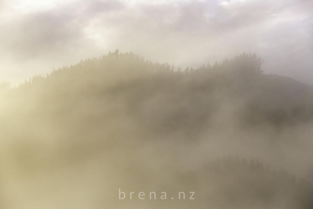Tataraakina Mist III / Brena Smith / Art Photography