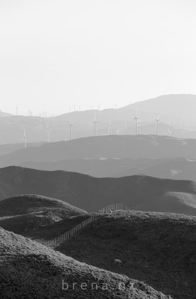 Makara Wind Farm II B&W / Brena Smith / Photography