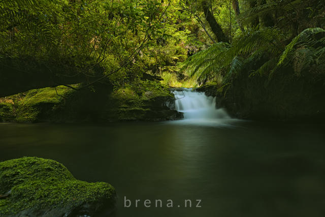 Boundary Stream Pool II / Brena Smith / Photography