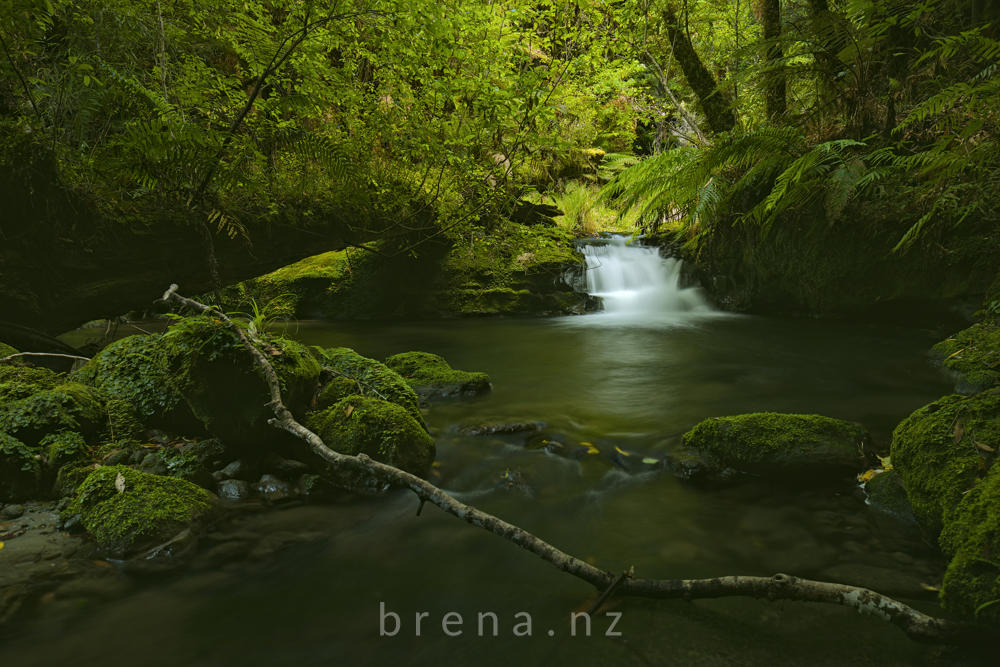 Boundary Stream Pool / Brena Smith / Art Photography